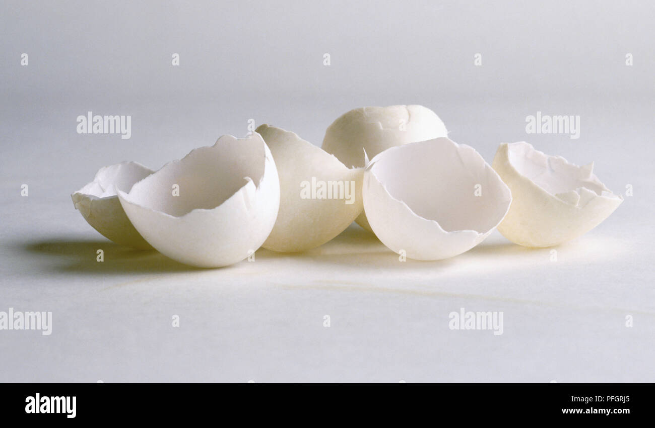 White egg shells broken in half Stock Photo - Alamy