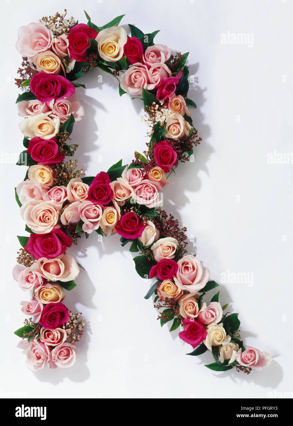 Rose flower heads arranged to form the letter R Stock Photo - Alamy