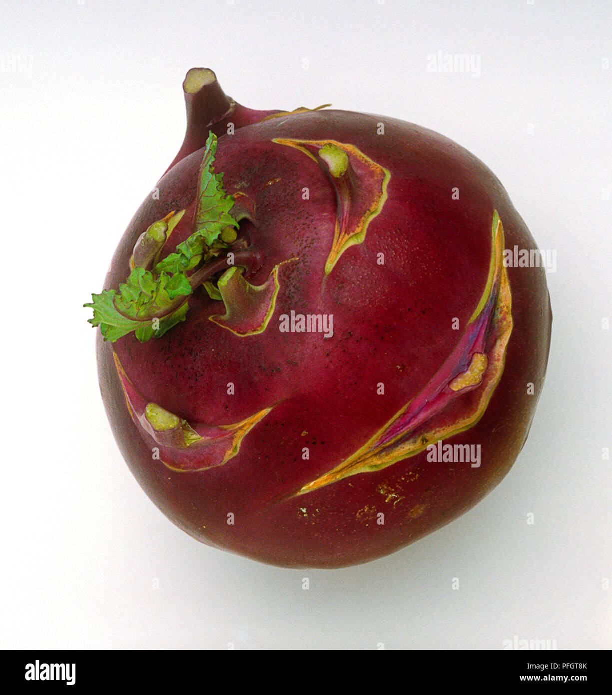 Studio vienna hi-res stock photography and images - Alamy