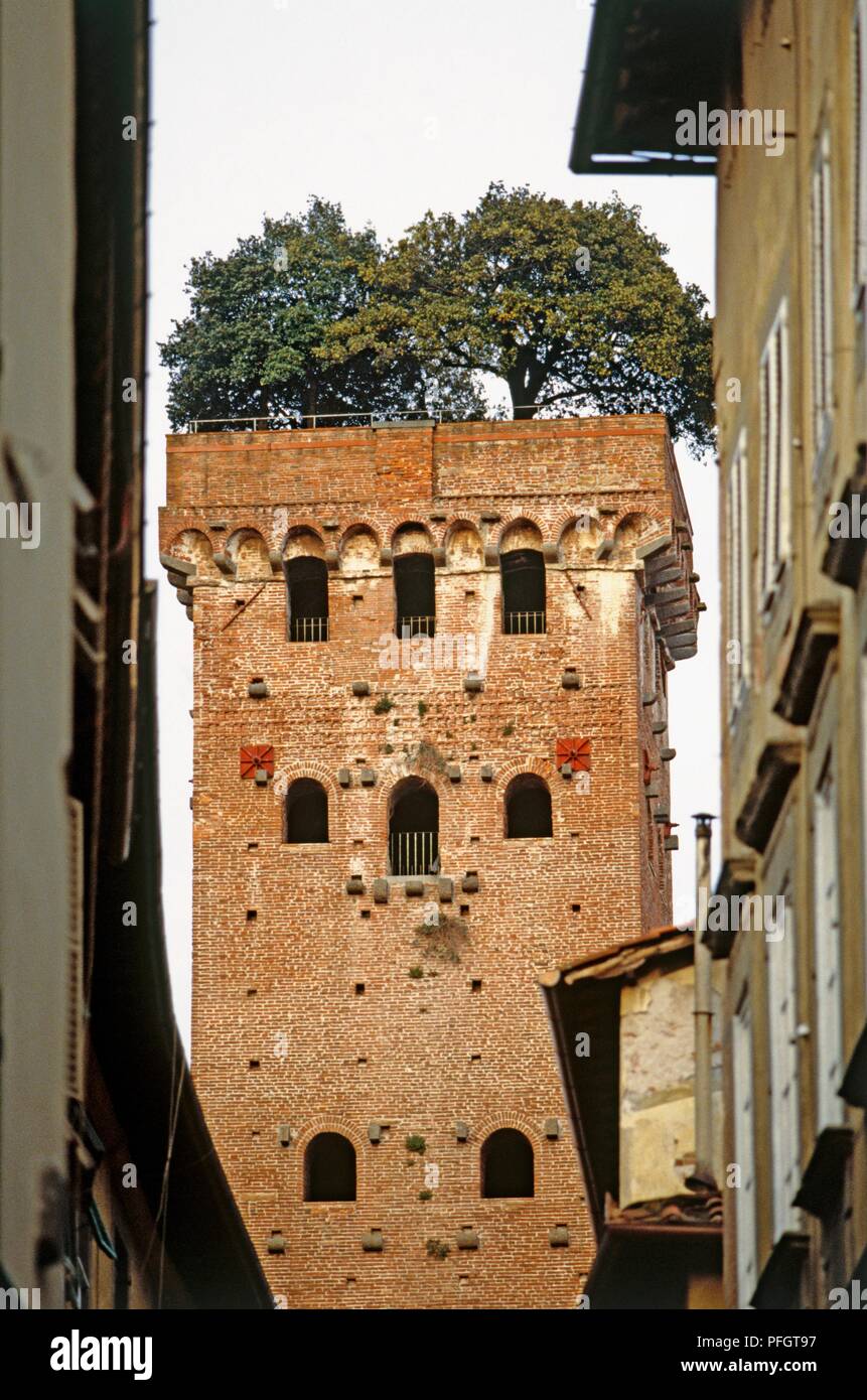 Italy, Tuscany, Lucca, Torre dei Giunigi, medieval brick tower with ...