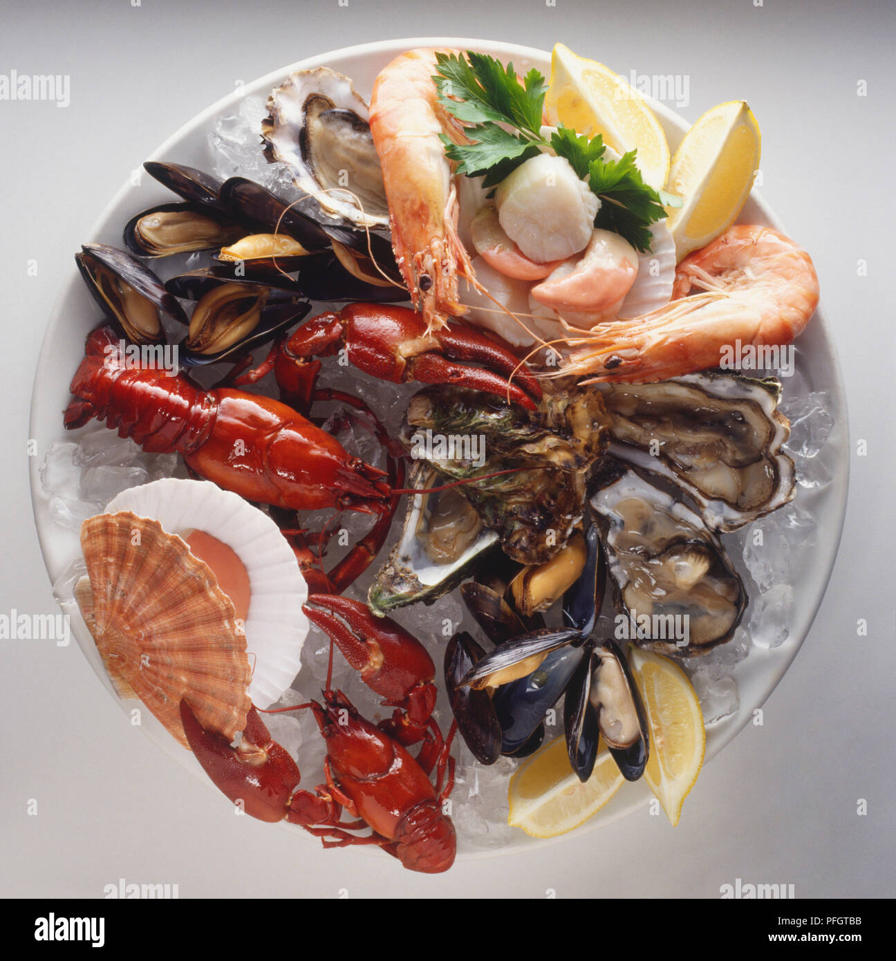 Round crabs hi-res stock photography and images - Alamy