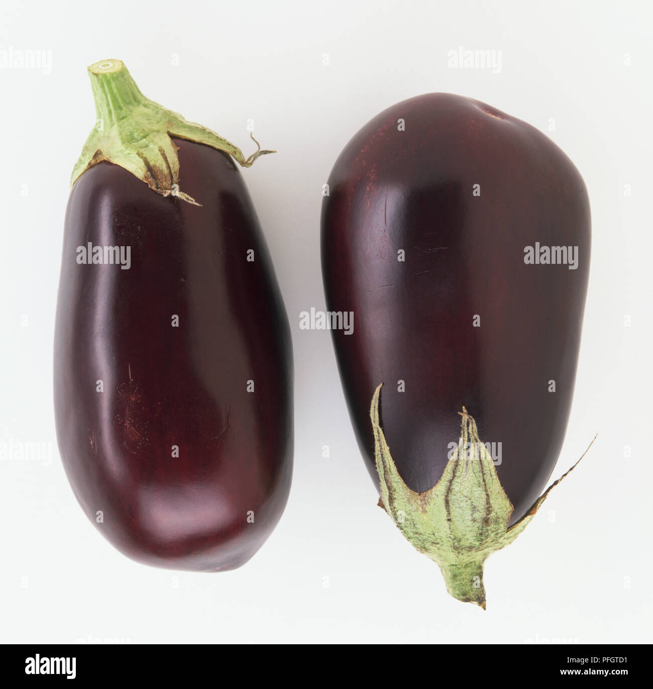 Solanum melongena, two fresh Aubergines, close up Stock Photo - Alamy
