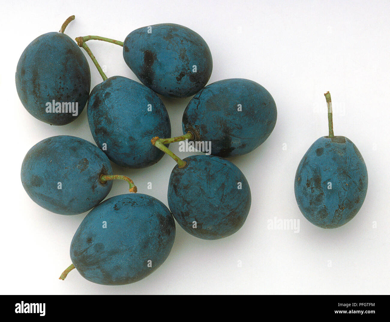 Group of Prunus domestica 'Opal' (Opal plums Stock Photo - Alamy