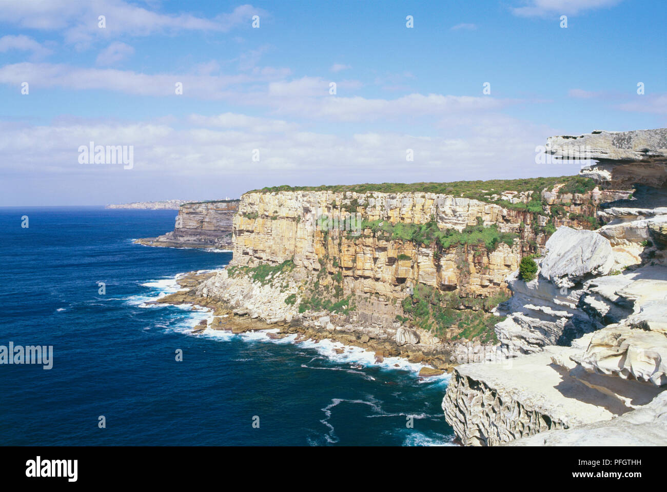 Australia, New South Wales, Sydney, Coastal heathland lining the cliff ...