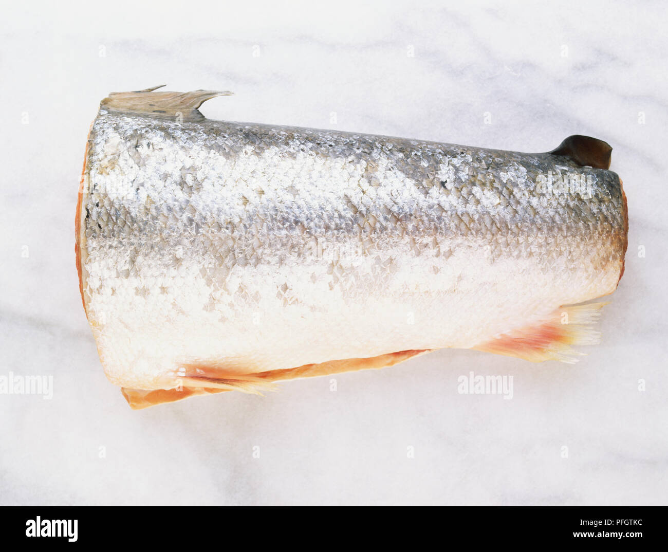 Shiny silver scales hi-res stock photography and images - Alamy