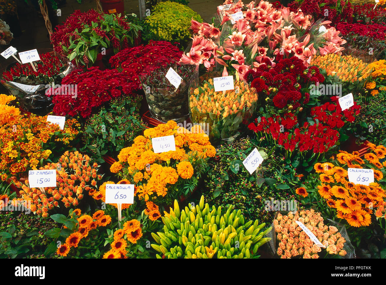 Holland, Amsterdam, flowers in stall in Bloemenmarkt, a floating flower ...