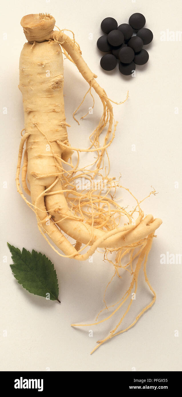 Panax sp hi-res stock photography and images - Alamy
