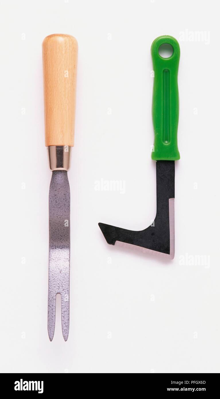 Daisy grubber hi-res stock photography and images - Alamy