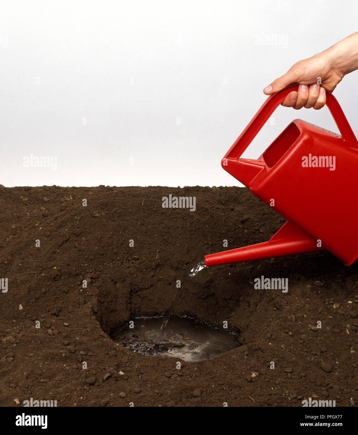 Using watering can to pour water into hole in soil Stock Photo - Alamy