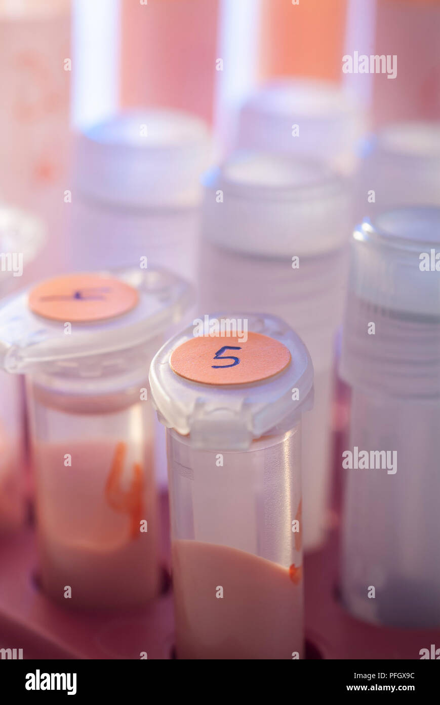 laboratory test tubes Stock Photo - Alamy