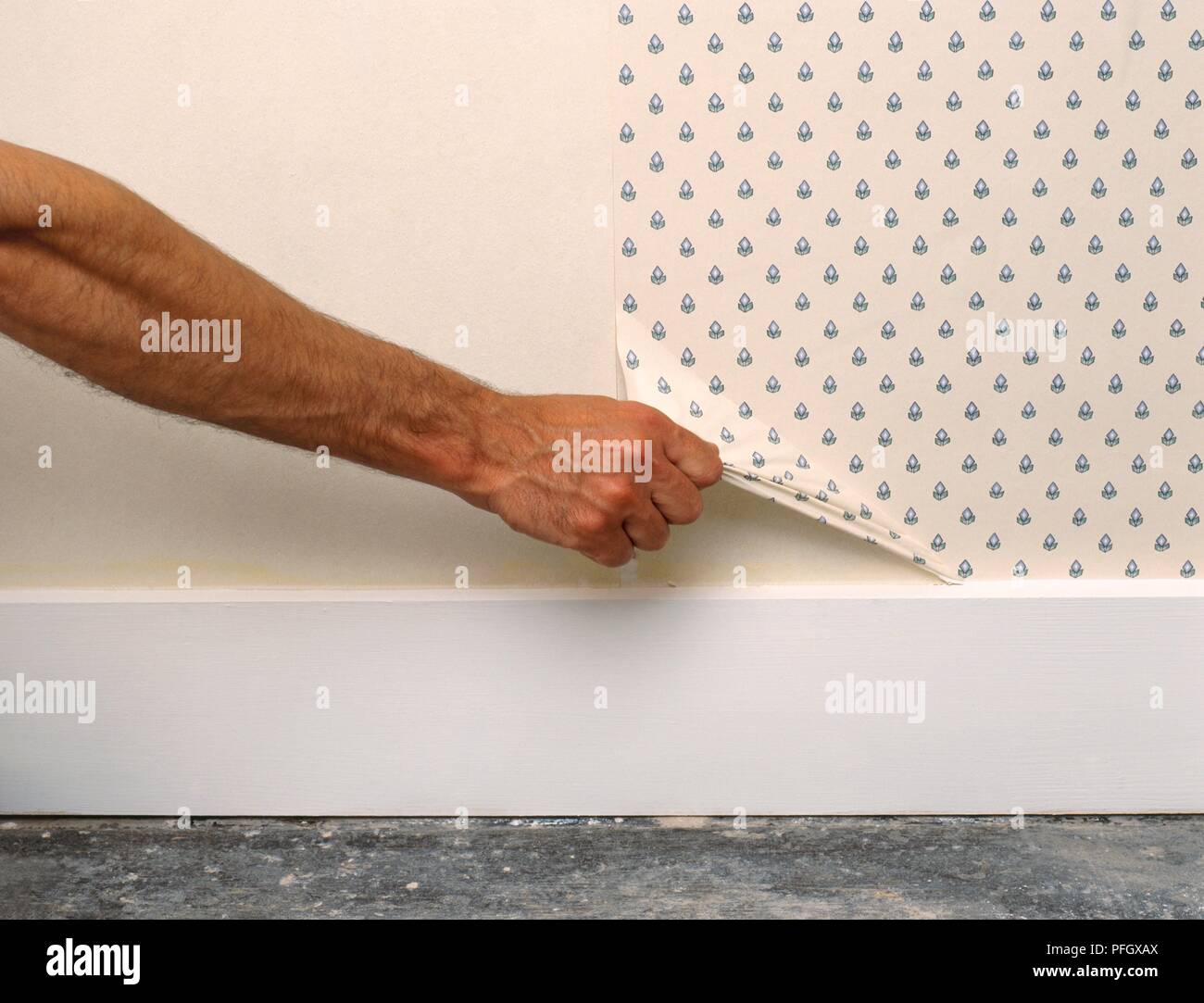 Skirting and wallpaper hi-res stock photography and images - Alamy