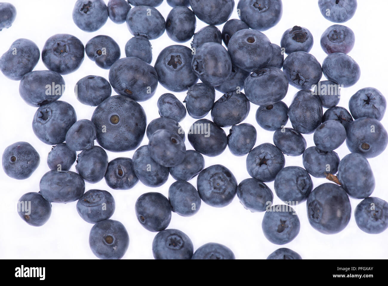 Blueberries isolated on a white background Stock Photo - Alamy