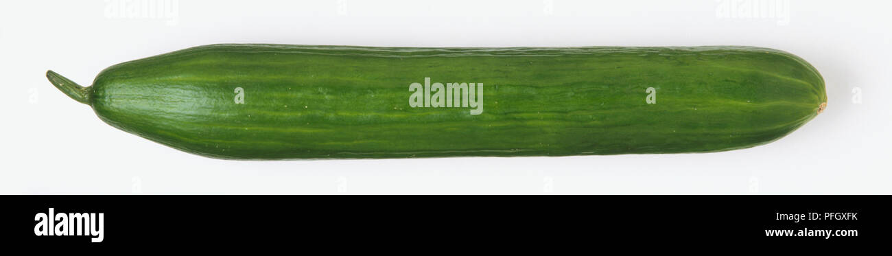 A whole cucumber Stock Photo - Alamy