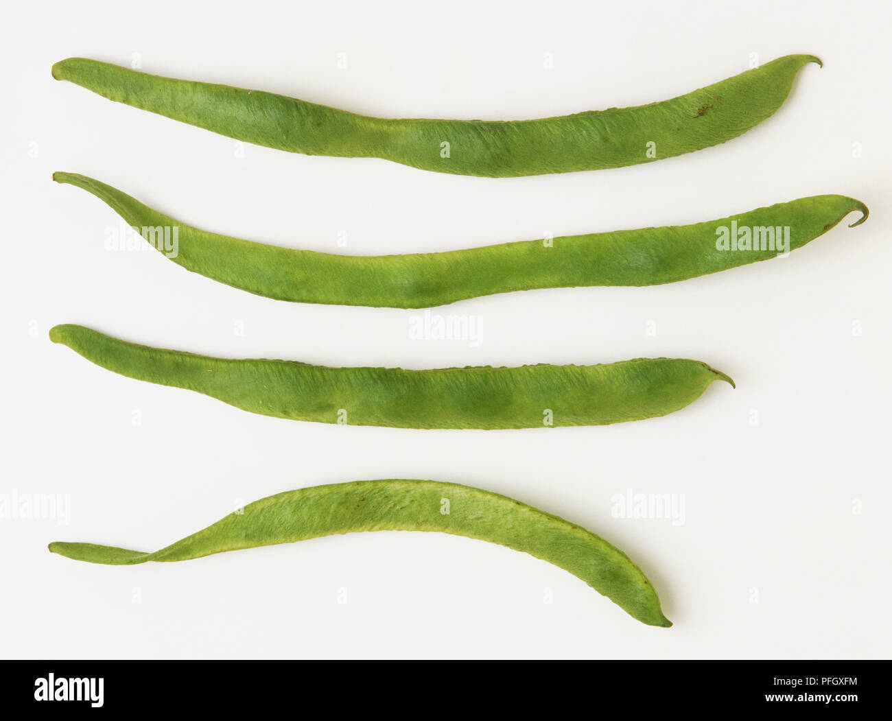Four runner beans Stock Photo - Alamy