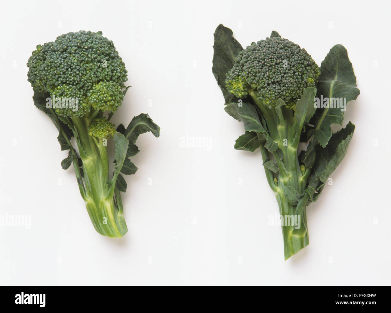 A piece of fresh broccoli Stock Photo - Alamy