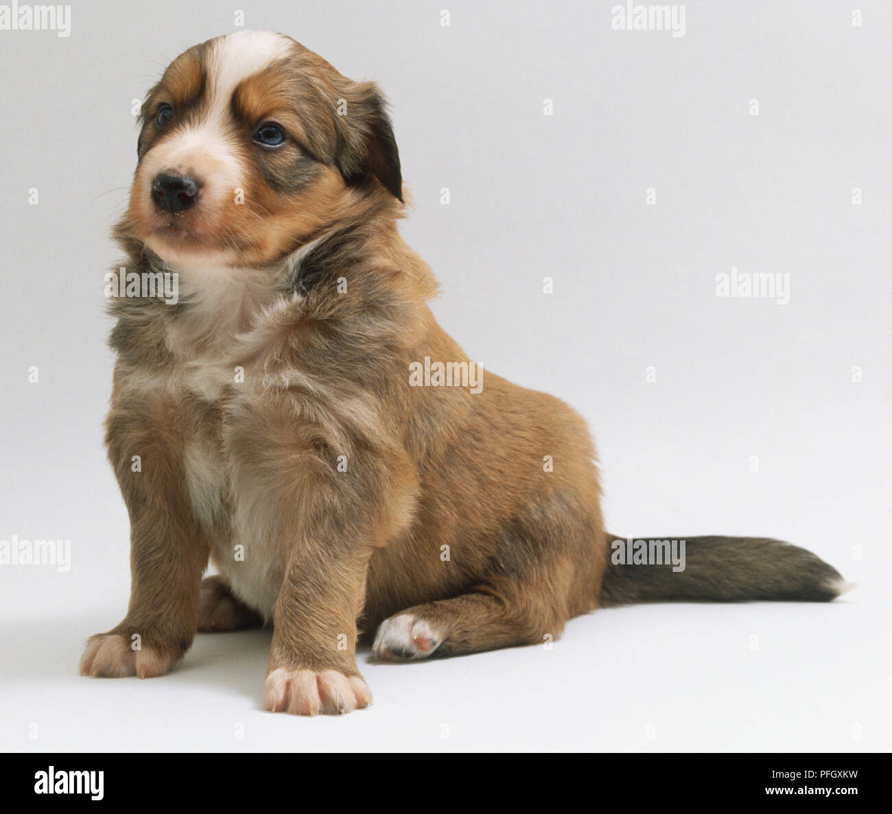 White markings hi-res stock photography and images - Alamy