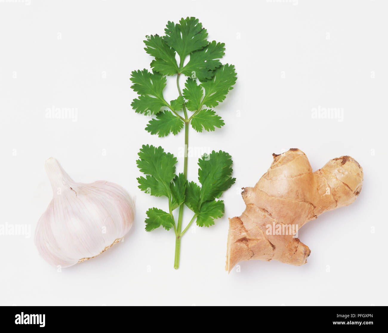 Garlic, coriander, ginger Stock Photo - Alamy