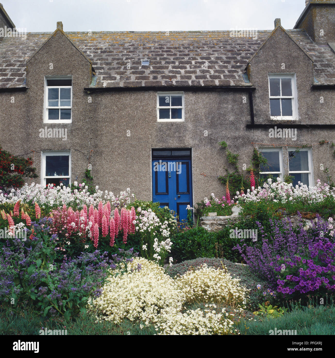 Cottage garden colour hi-res stock photography and images - Alamy