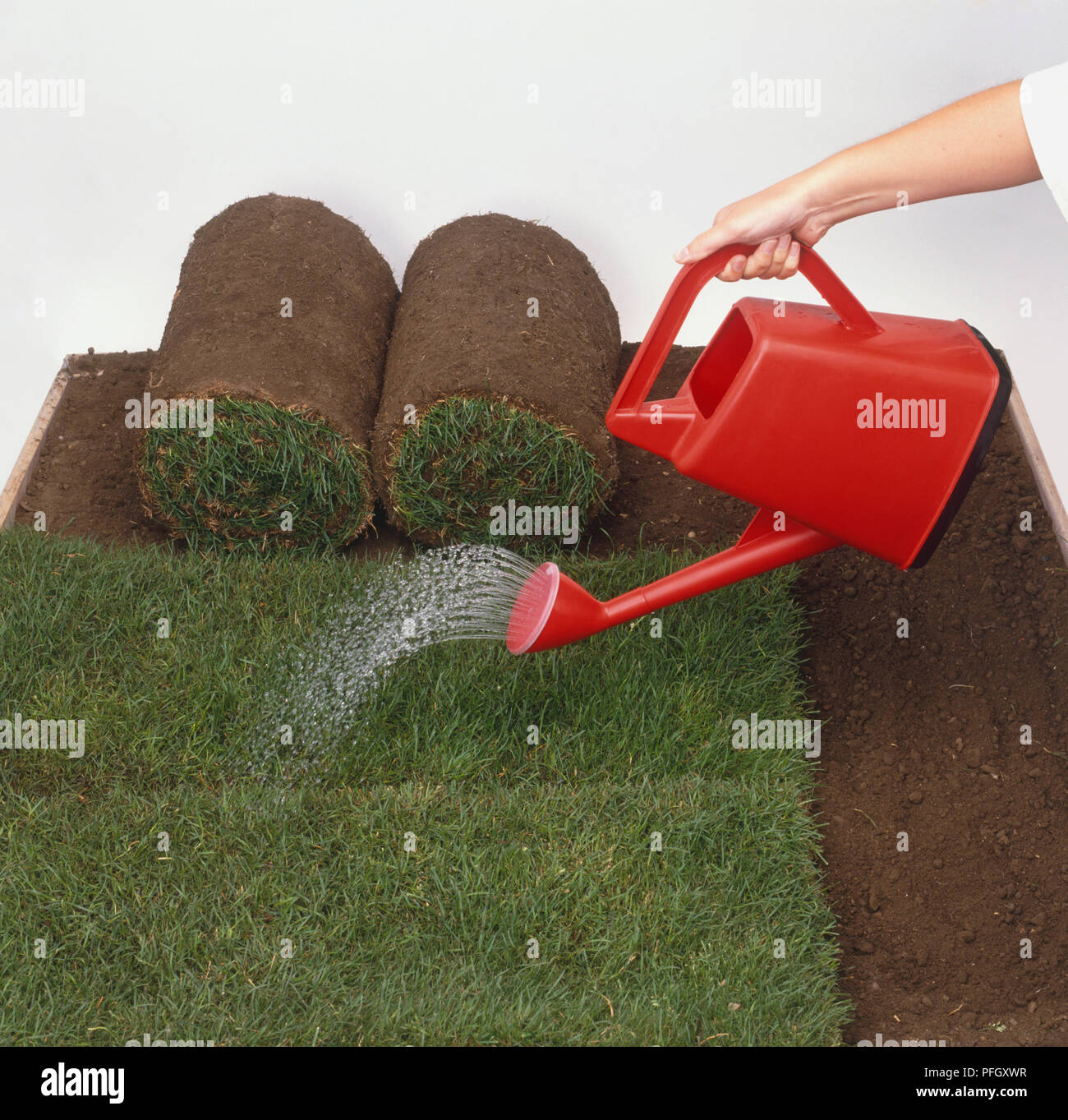 Watering freshly laid turf with watering can Stock Photo - Alamy