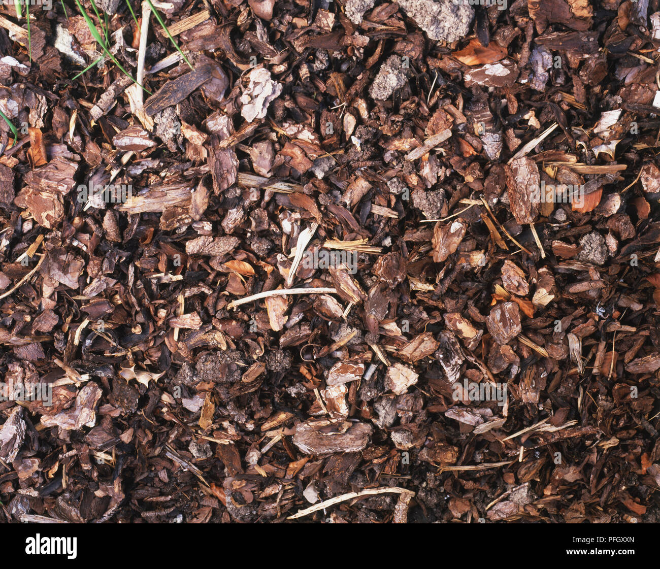 Chipped Bark Stock Photos & Chipped Bark Stock Images - Alamy