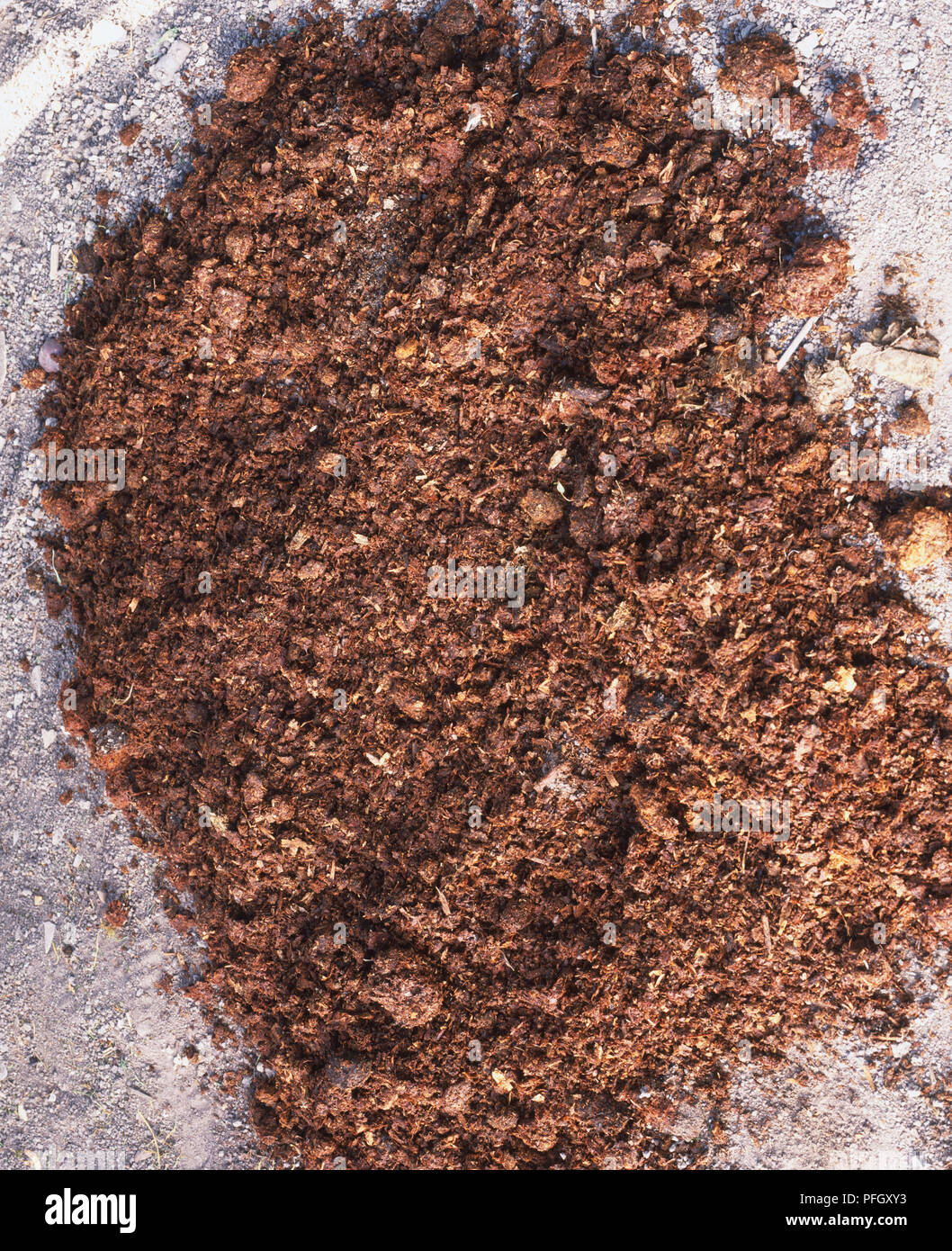 A pile of animal manure Stock Photo - Alamy