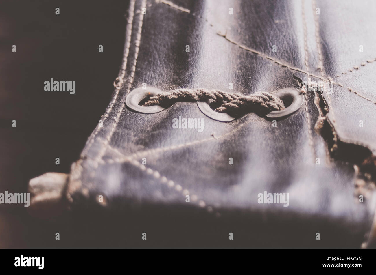 Austrian sleigh design. Compound close up. Restoration. Handwork Stock ...