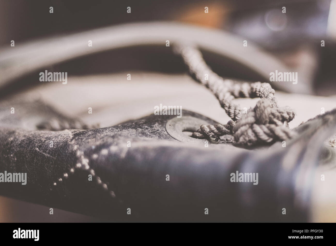 Austrian sleigh design. Compound close up. Restoration. Handwork Stock ...