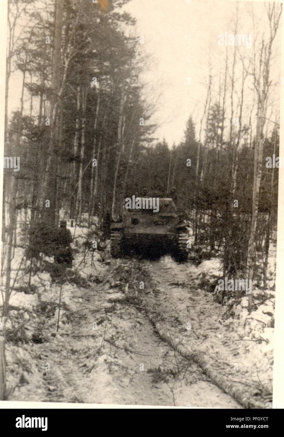 German Soldiers and Panzer in thick forest on the Leningrad Front near ...