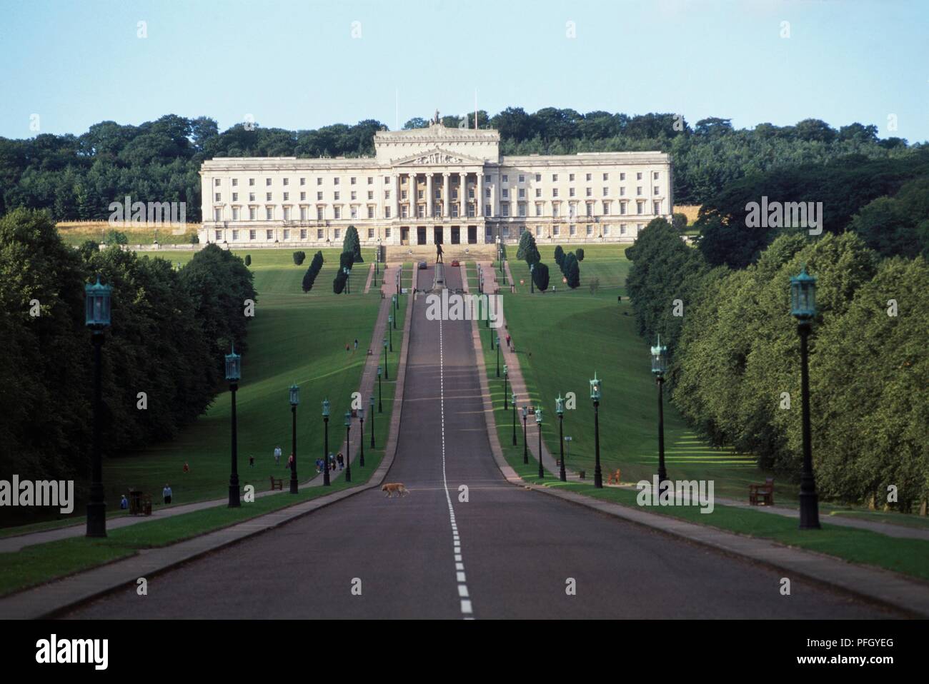 Northern Ireland, Belfast, Stormont, road lined with trees leading to ...