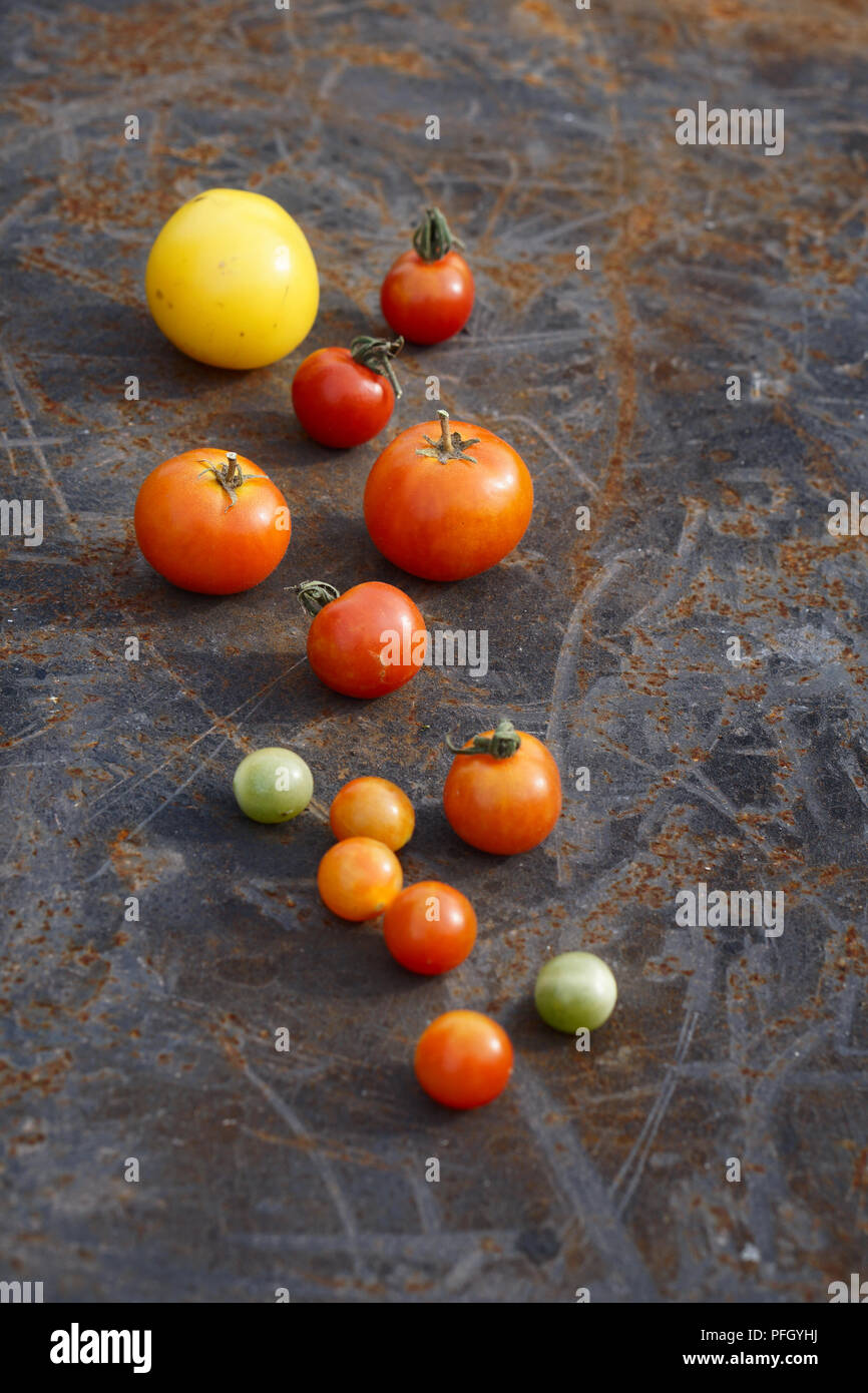 Mix tomatoes in summer day. Composition of variety fresh tomatoes ...