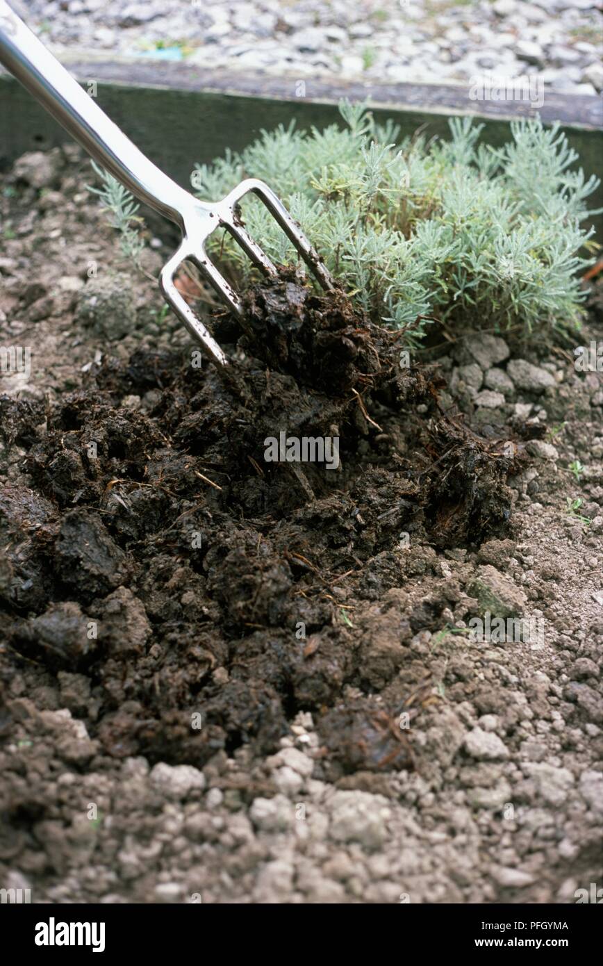 Well rotted compost hi-res stock photography and images - Alamy