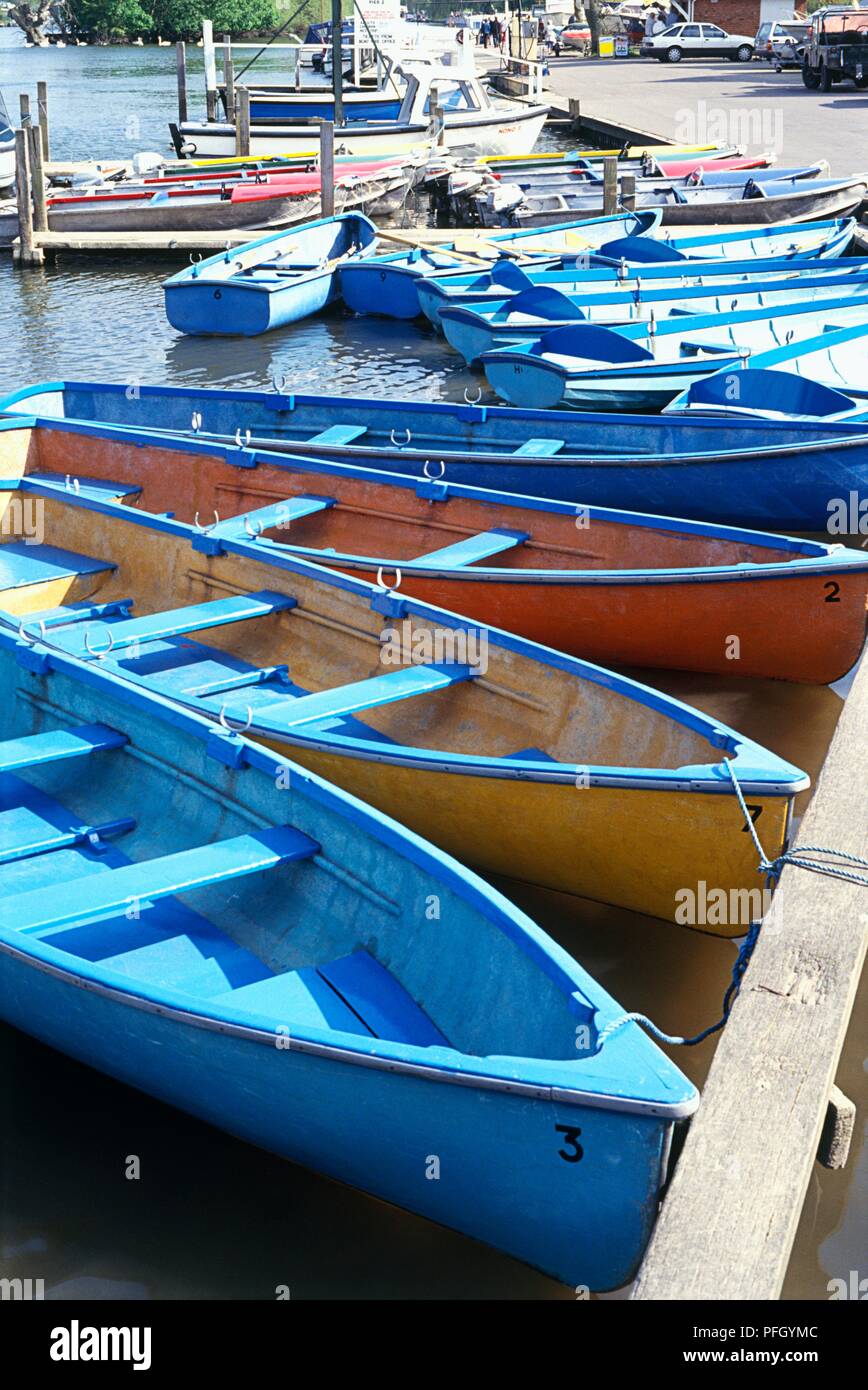 Small on large hi-res stock photography and images - Alamy