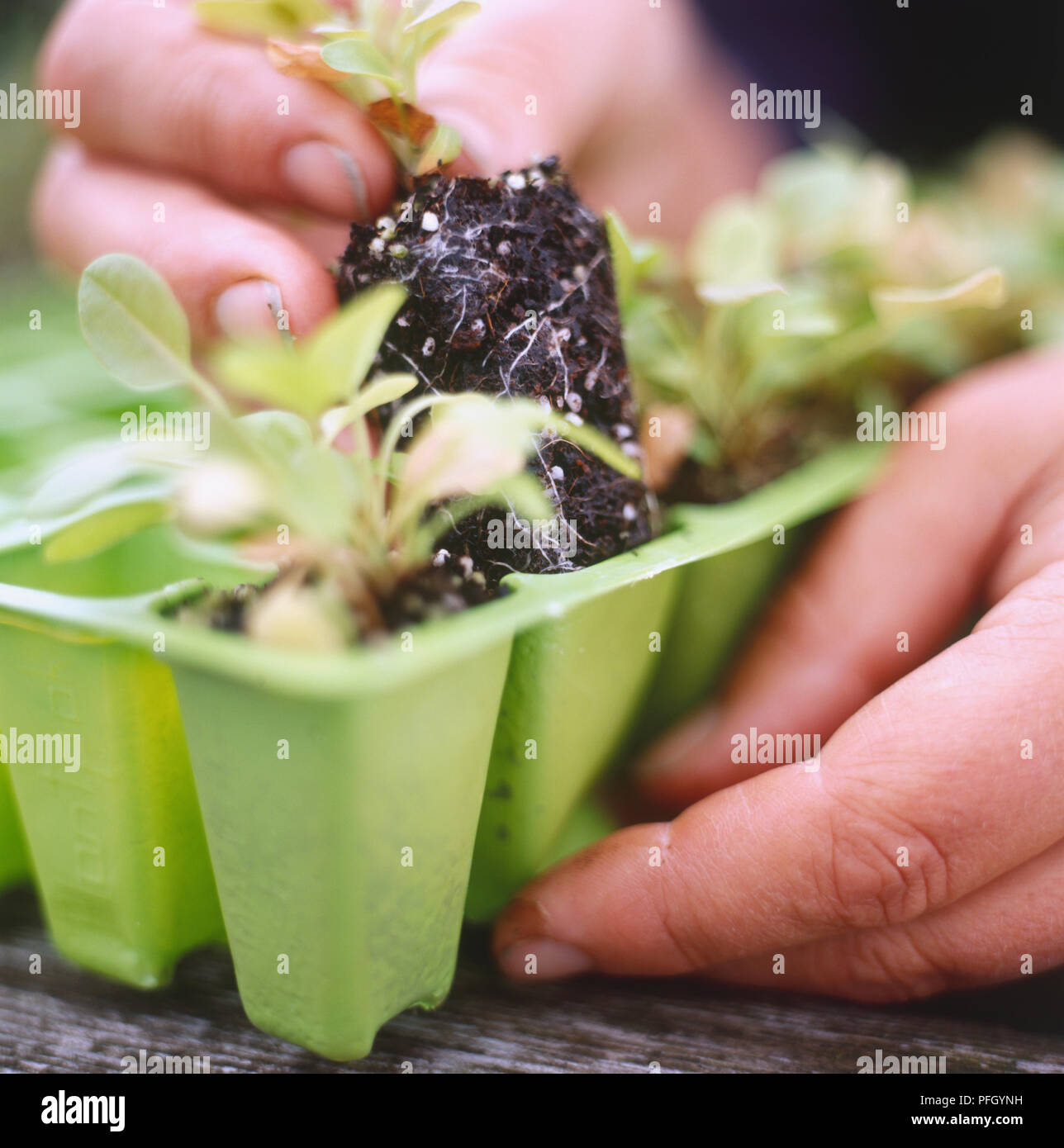 Module trays hi-res stock photography and images - Alamy