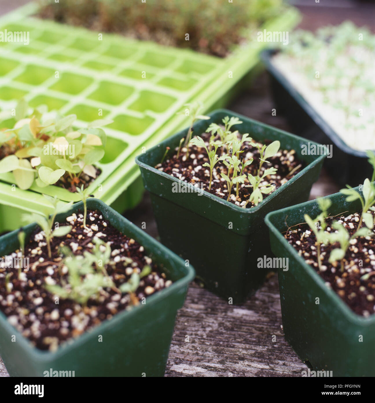 Plastic modules hi-res stock photography and images - Alamy