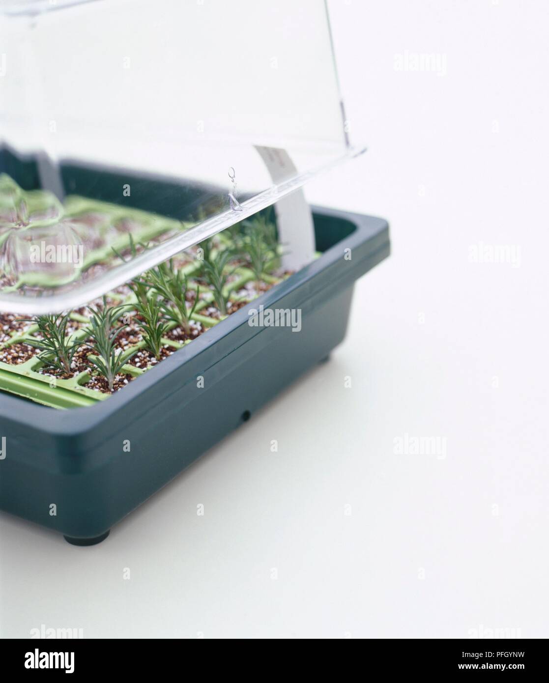 Module hi-res stock photography and images - Alamy