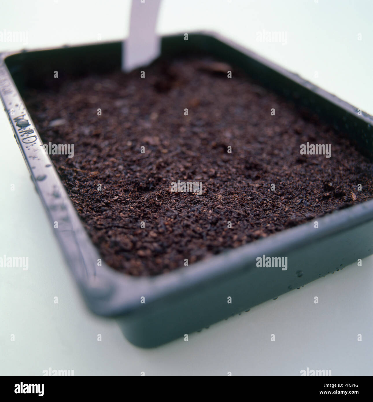 Substrate in seed tray Stock Photo - Alamy