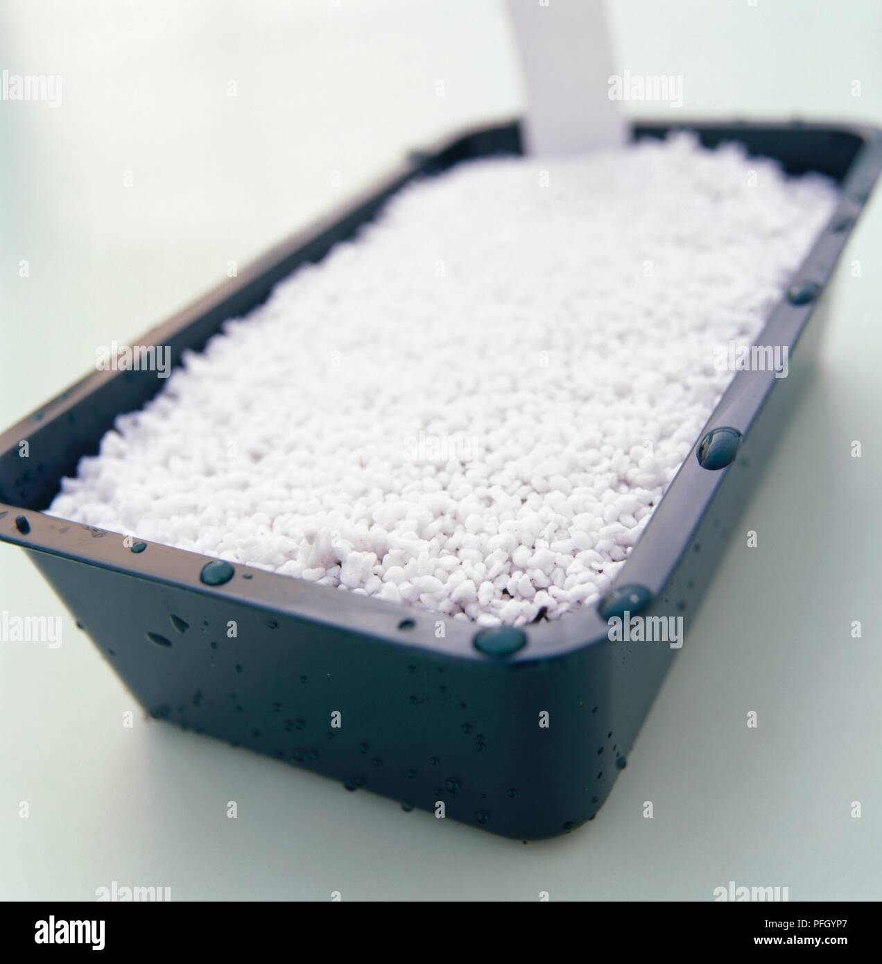 Covered seed tray hi-res stock photography and images - Alamy
