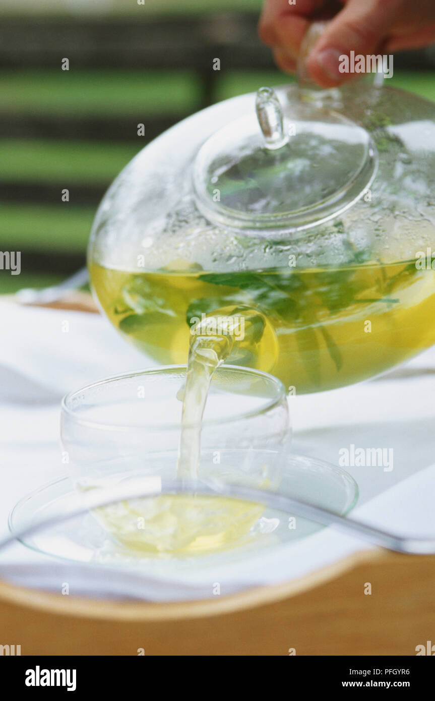 Pouring herb tisane from clear glass teapot into clear glass teacup ...