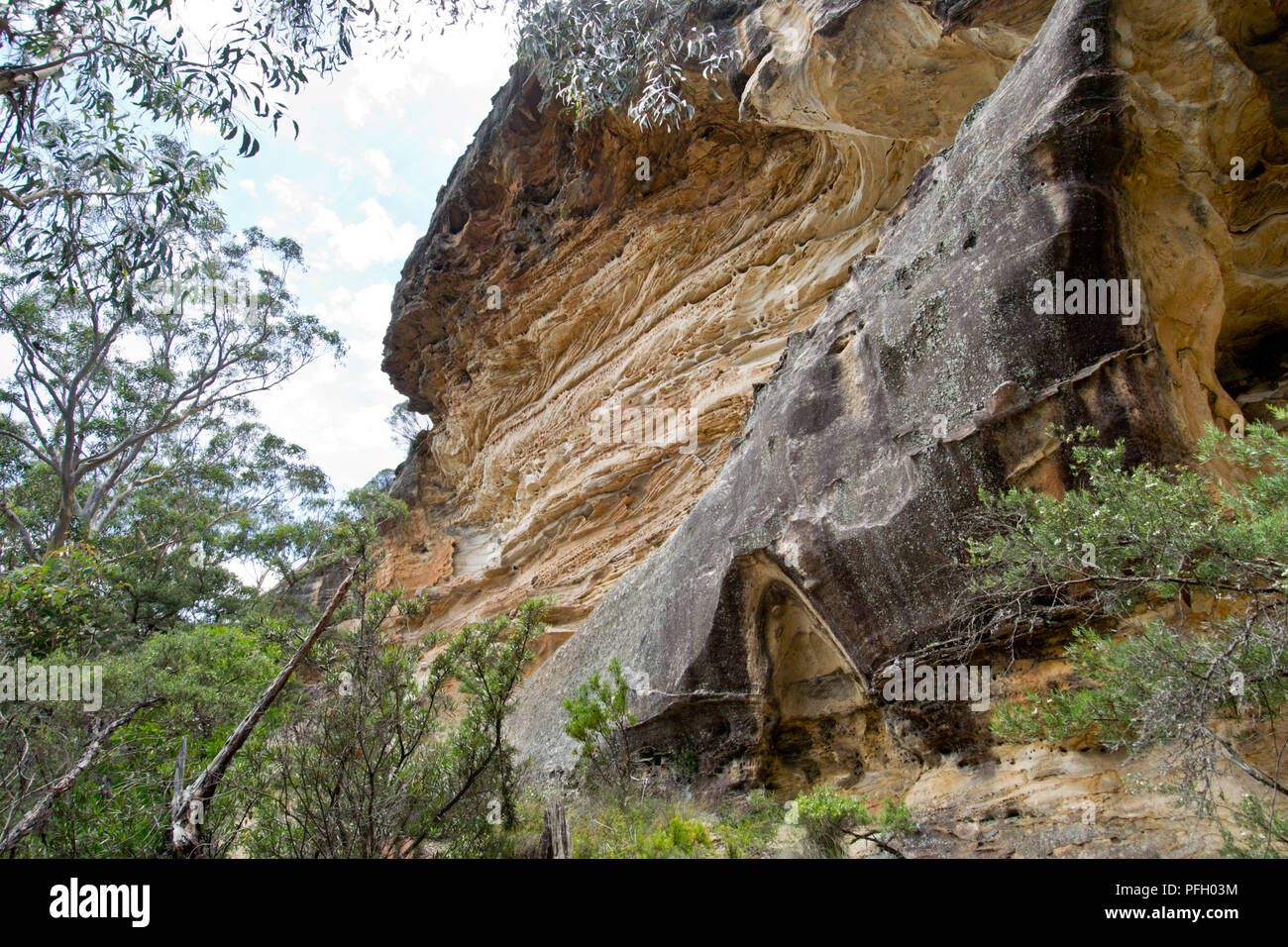 Wind Eroded Cave in Blue Mountains in Australia Stock Photo - Alamy