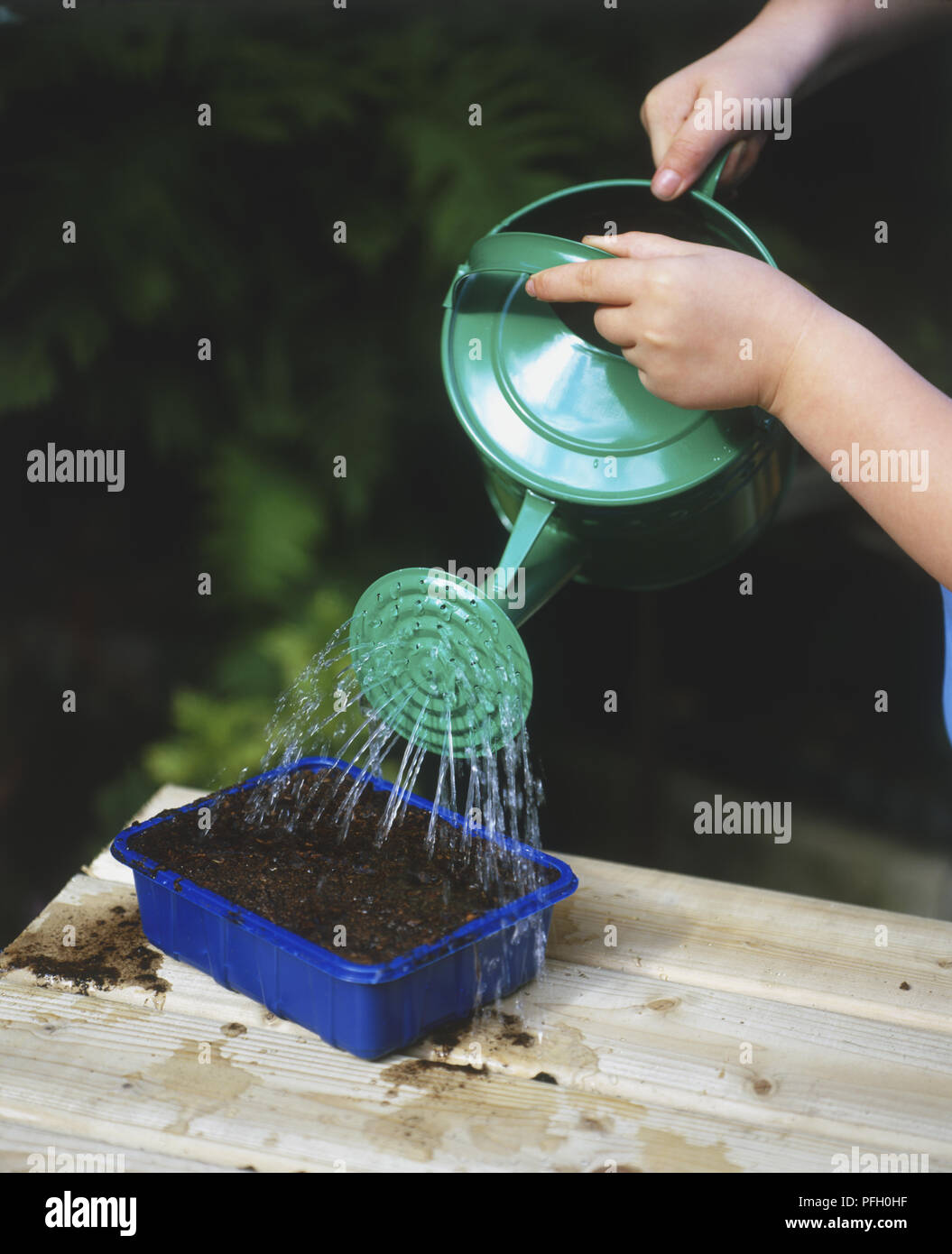 Using a watering can hi-res stock photography and images - Alamy