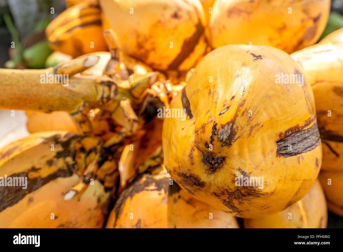 Orange Yellow King Coconut Background Stock Photo - Alamy