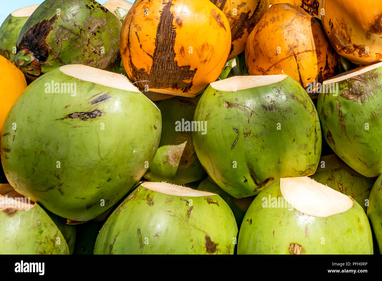 Green Coconut Wallpaper