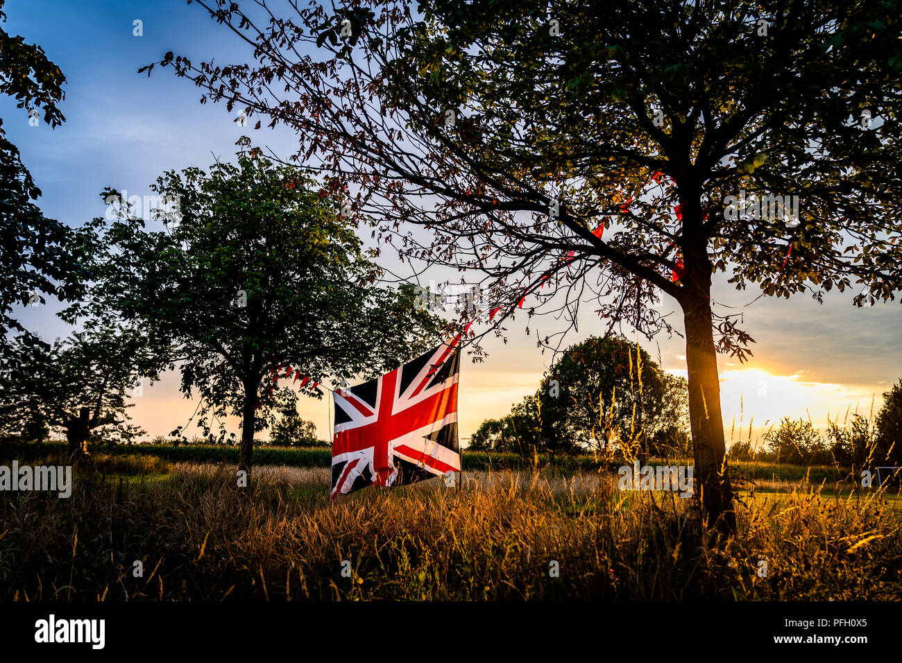 Union Jack flag stretched between trees Stock Photo - Alamy