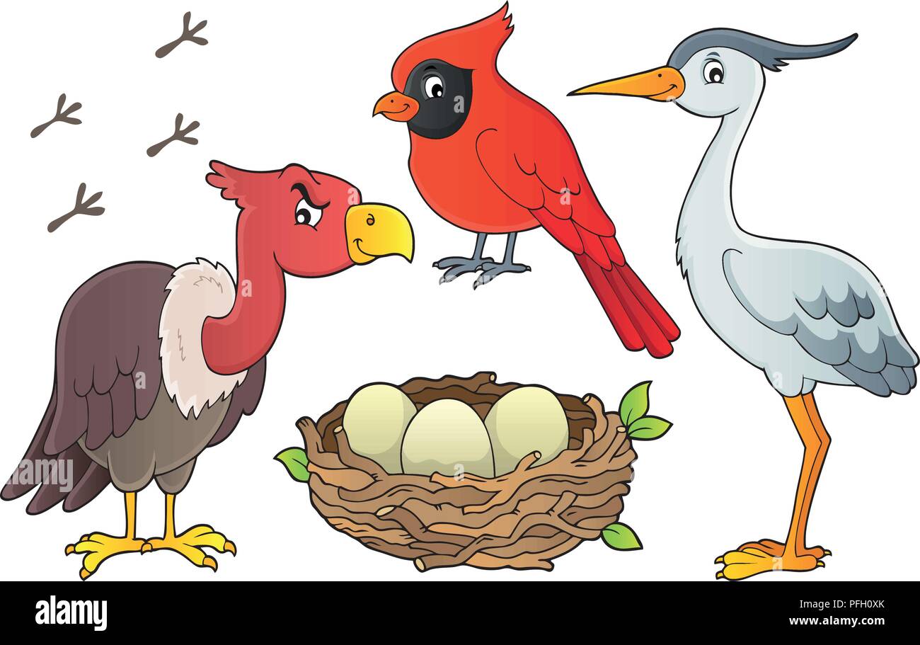 Birds topic collection 1 - eps10 vector illustration Stock Vector Image ...