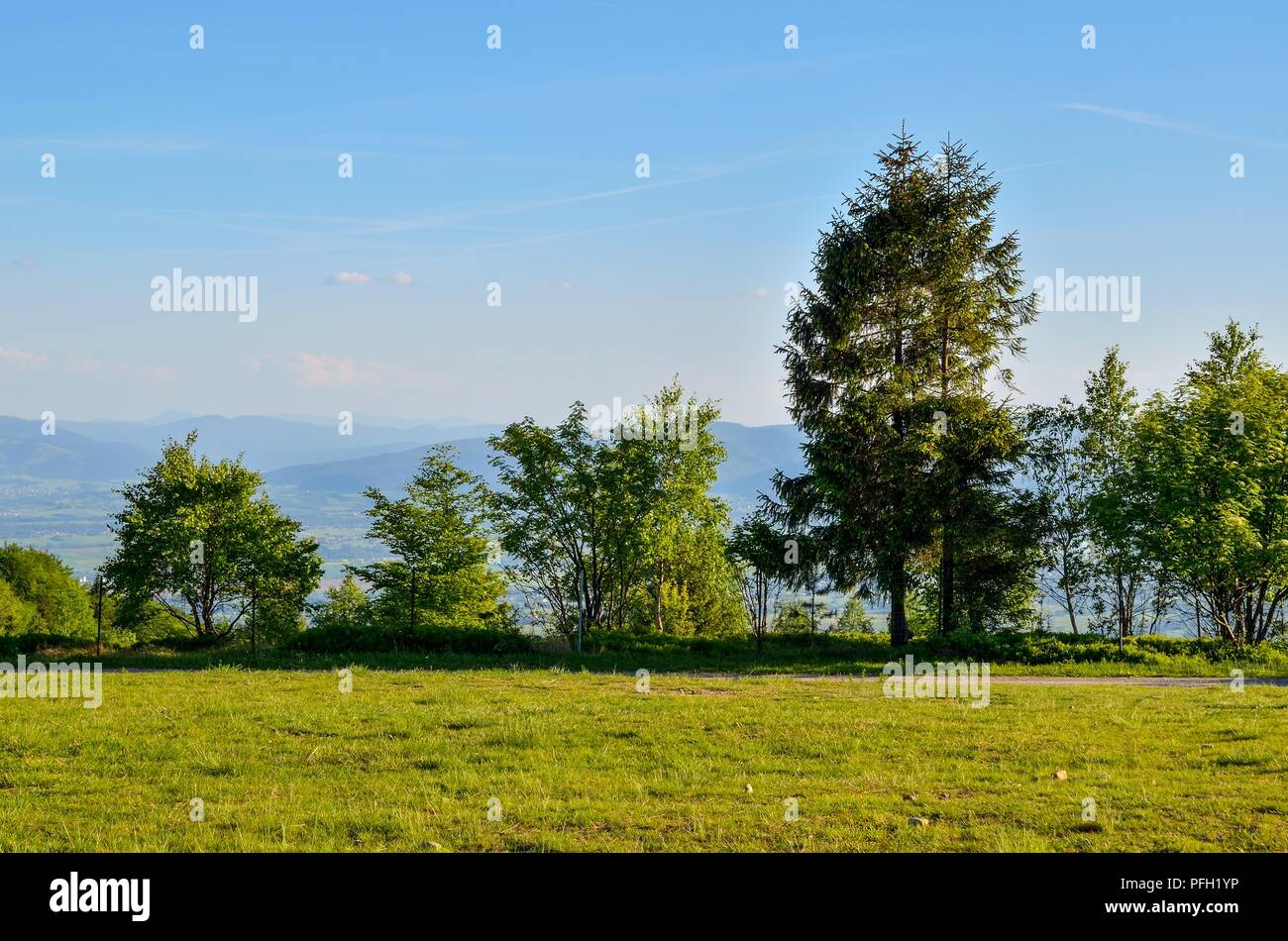 Spring mountain landscape. A beautiful view of the green hills Stock ...