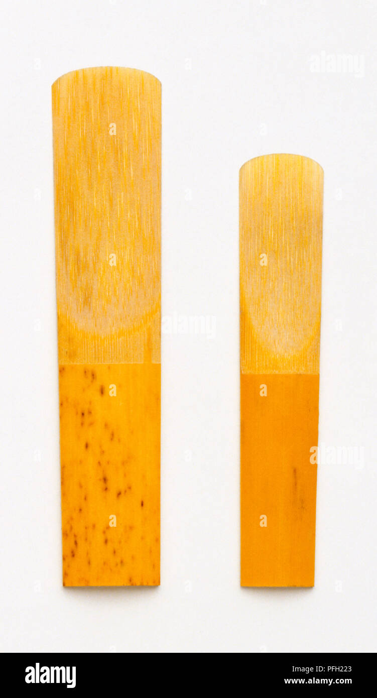 Single Reeds, used for playing the clarinet Stock Photo - Alamy