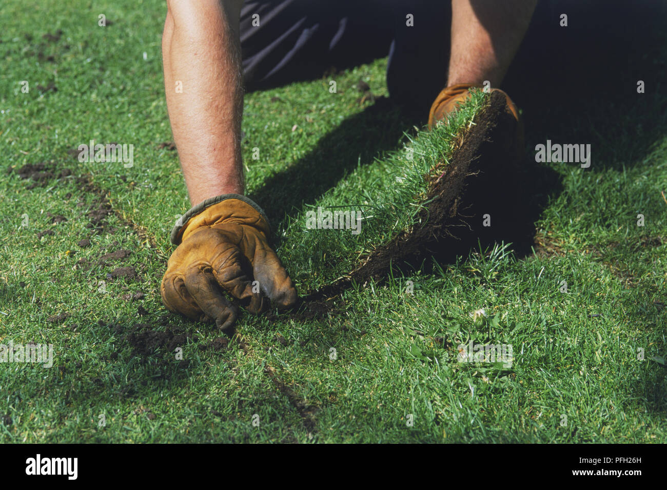 Man wearing orange gloves lifting turf Stock Photo - Alamy