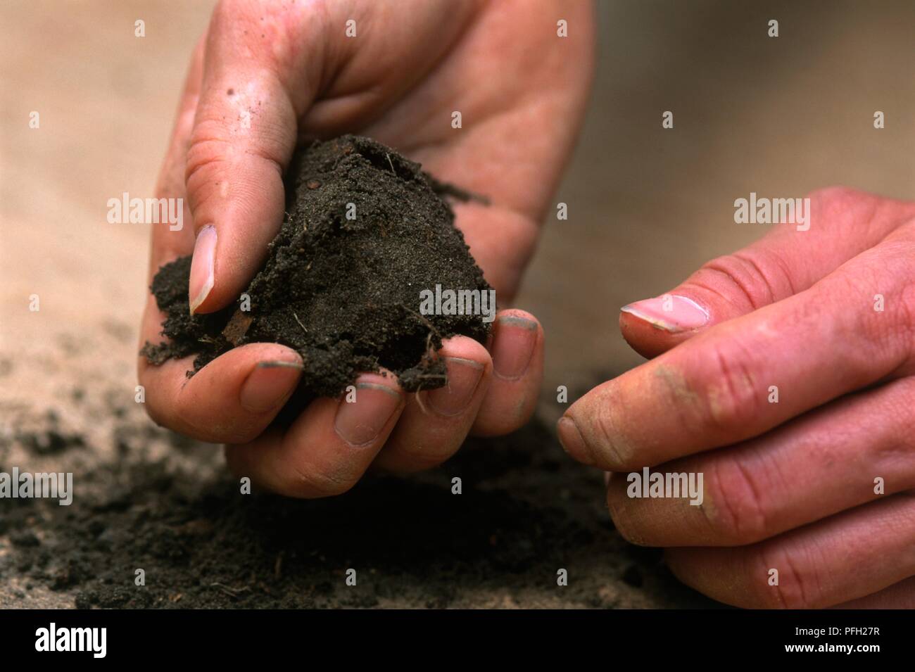 Hand holding clump of sandy soil, close up Stock Photo - Alamy