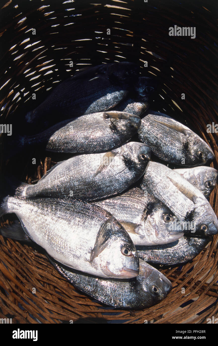 Fish fish heads hi-res stock photography and images - Alamy