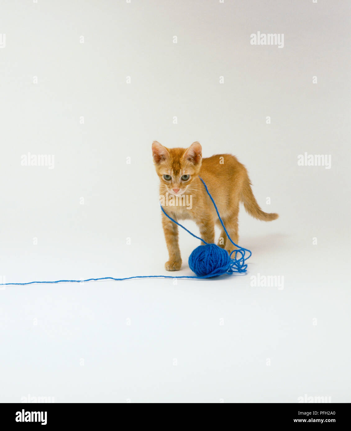 Wool blue hi-res stock photography and images - Alamy